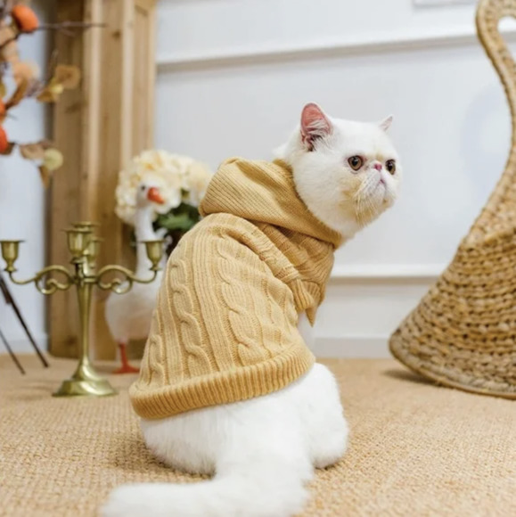 Everything Pets Posh Party on Poshmark